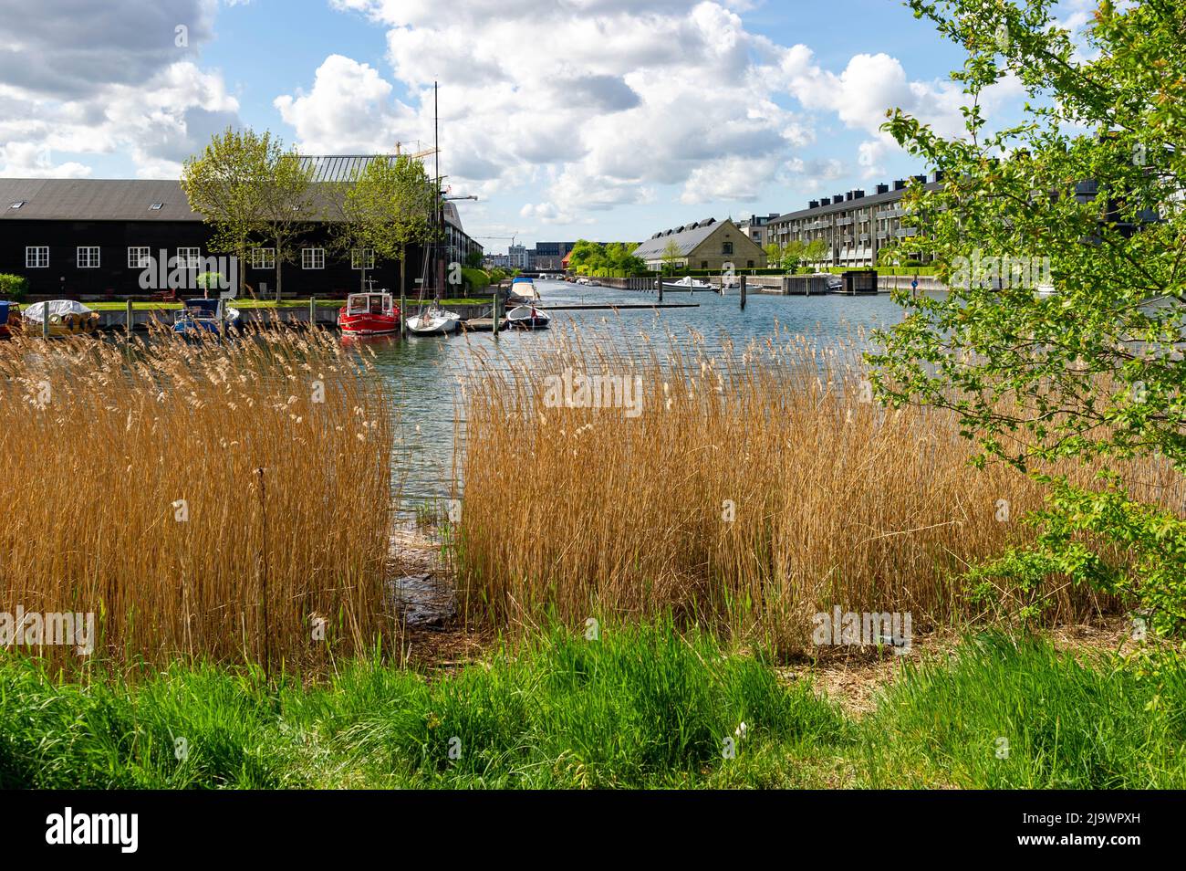 Waterside Living in Copenhagen, Denmark Stock Photo - Alamy