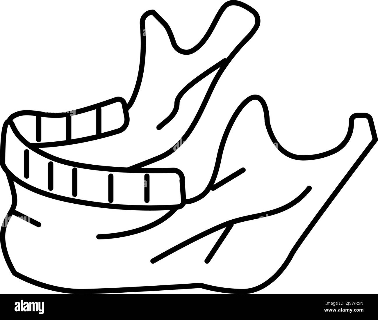 jaw bone line icon vector illustration Stock Vector Image & Art - Alamy