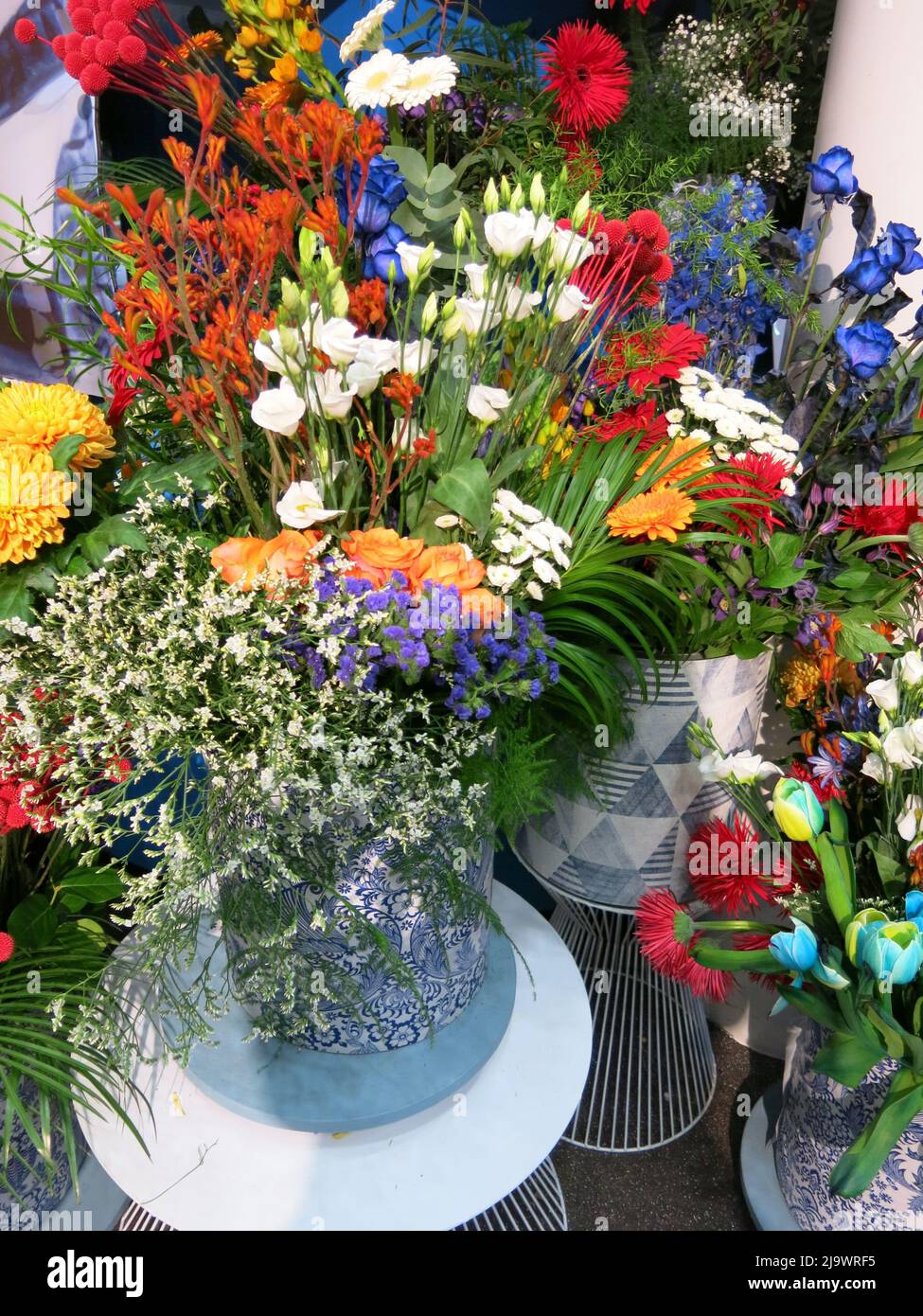 Glorious floral displays in the pavilions at Keukenhof Gardens, May ...