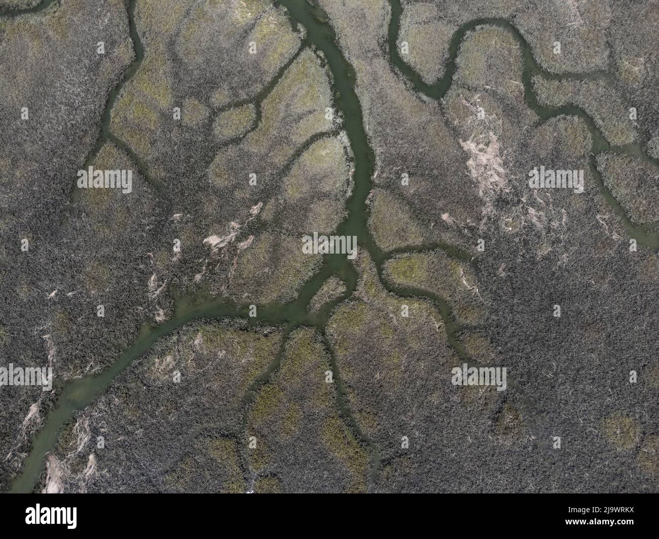 High angle aerial view of coastal estuary and salt marsh in South ...
