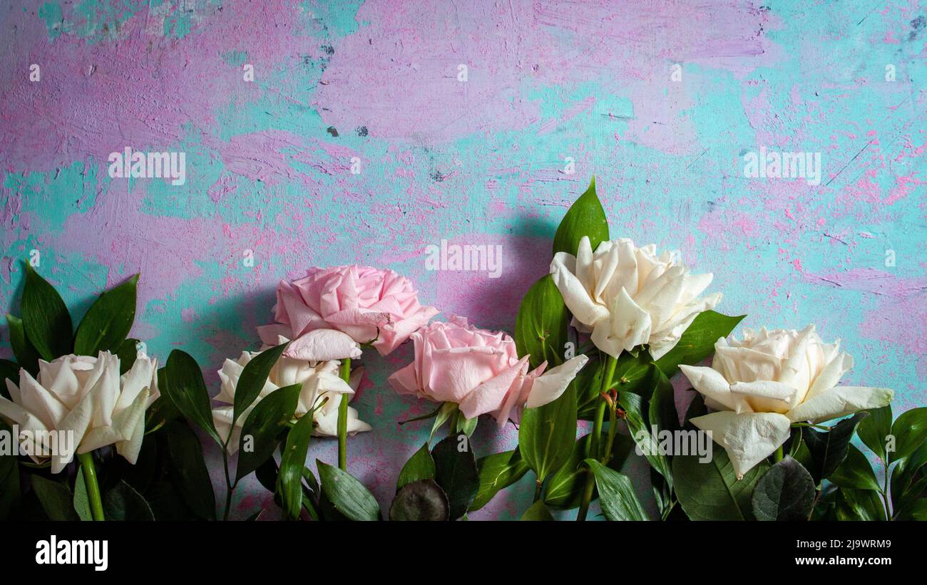 beautiful background with flowers . Spring summer border template ...