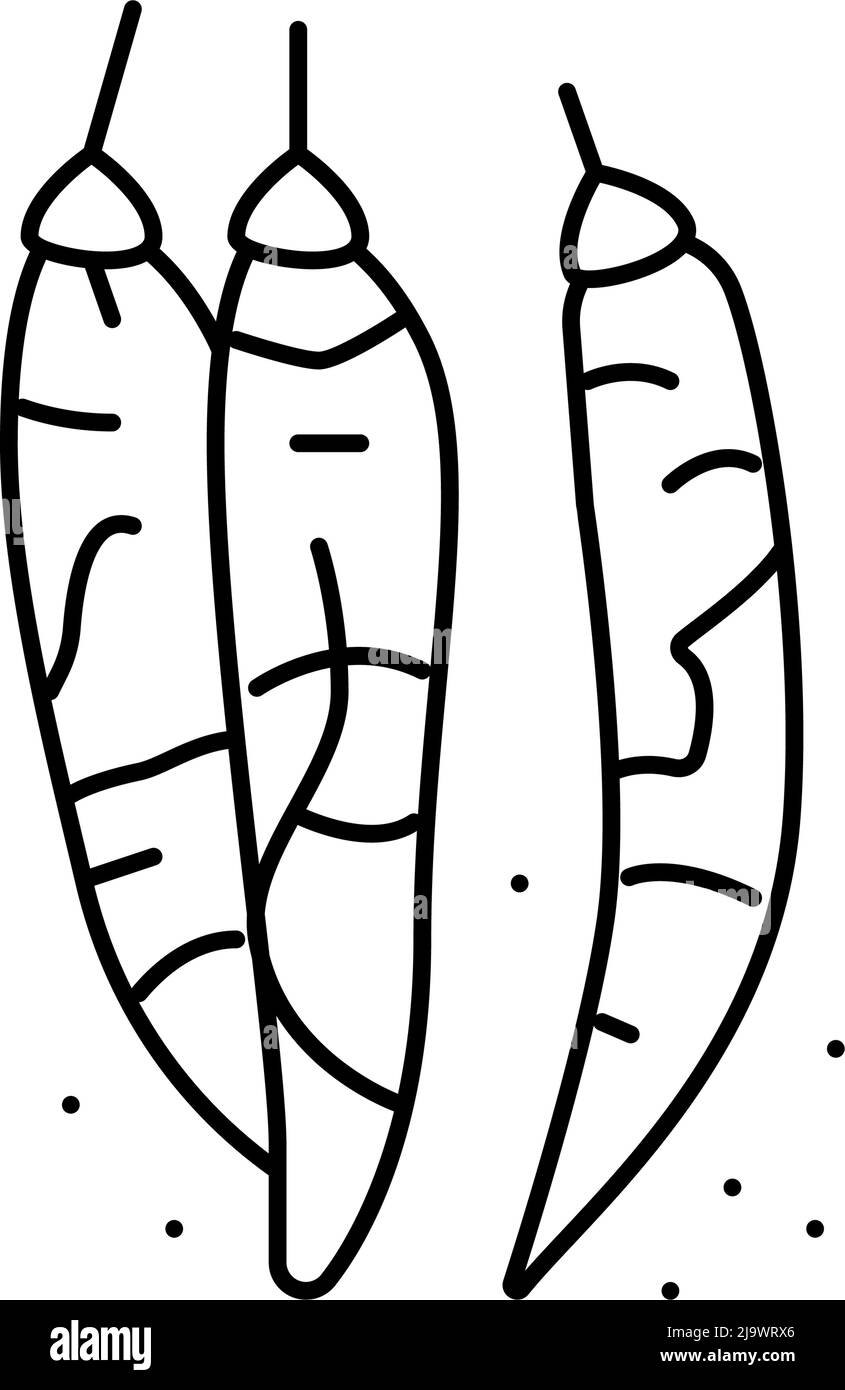 Dried chili Stock Vector Images - Alamy