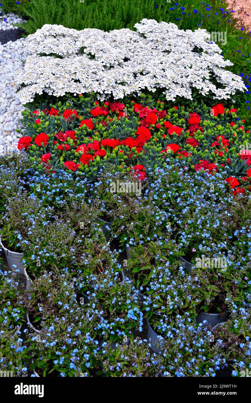 euroflora nervi parks, flower garden genoa italy Stock Photo - Alamy