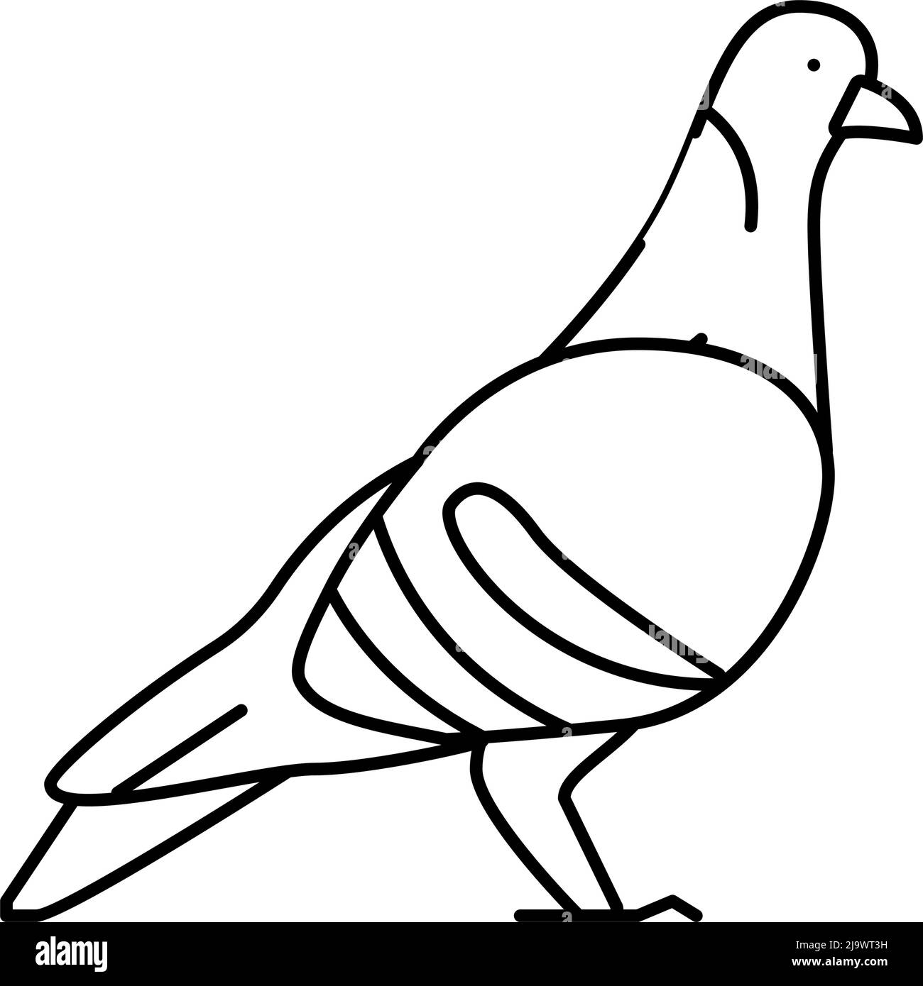 pigeon bird line icon vector illustration Stock Vector Image & Art - Alamy