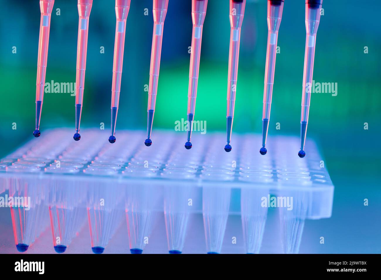 Pipette and test tubes in a microbiological laboratory Stock Photo - Alamy