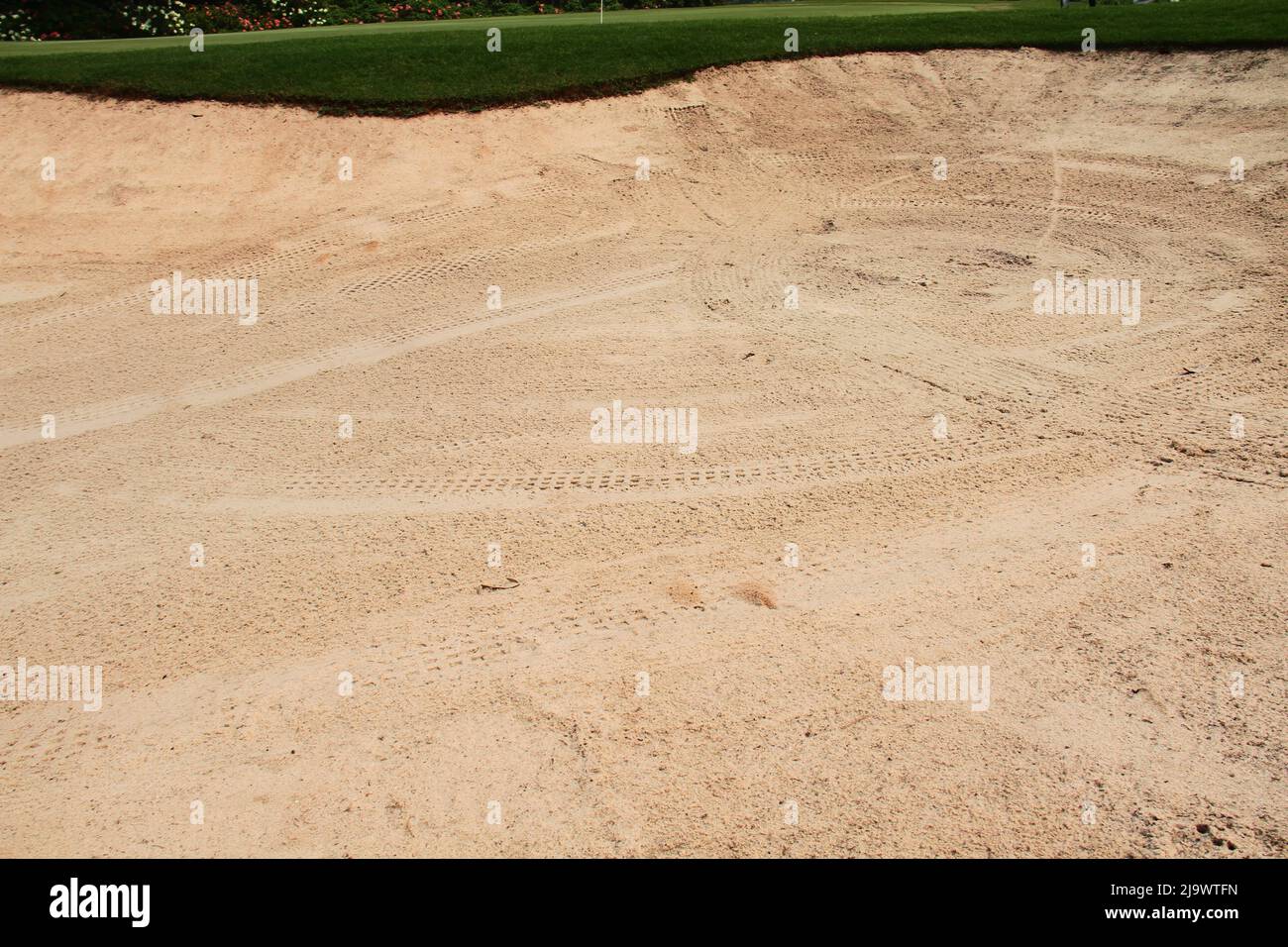 sand bunker on golf course Stock Photo - Alamy