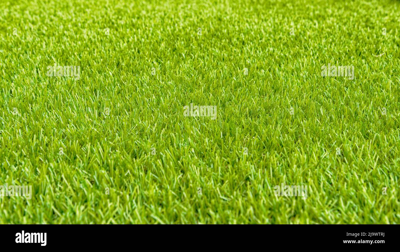 Artificial grass garden hi-res stock photography and images - Alamy