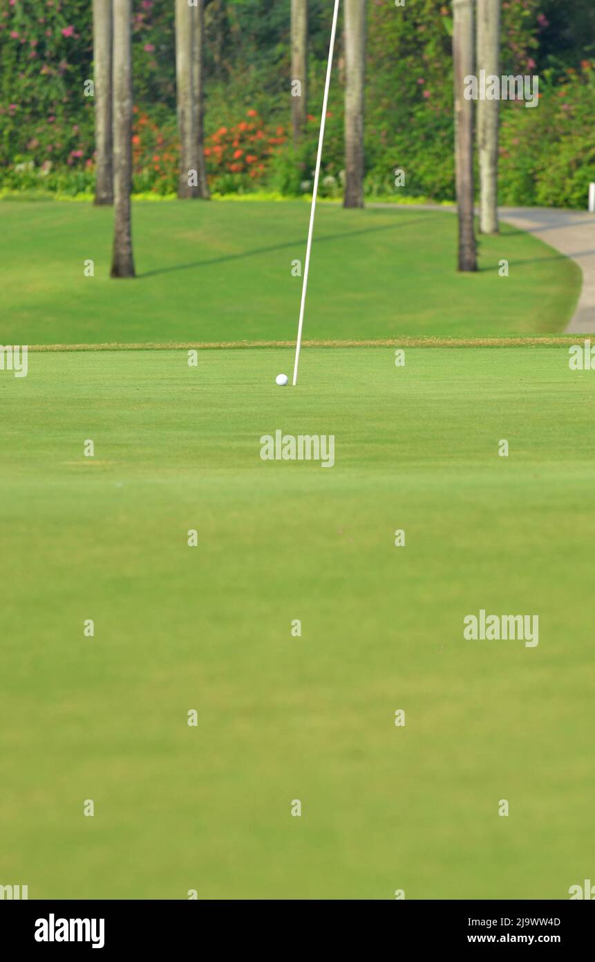 View of flag pole on putting green with background some trees at golf ...