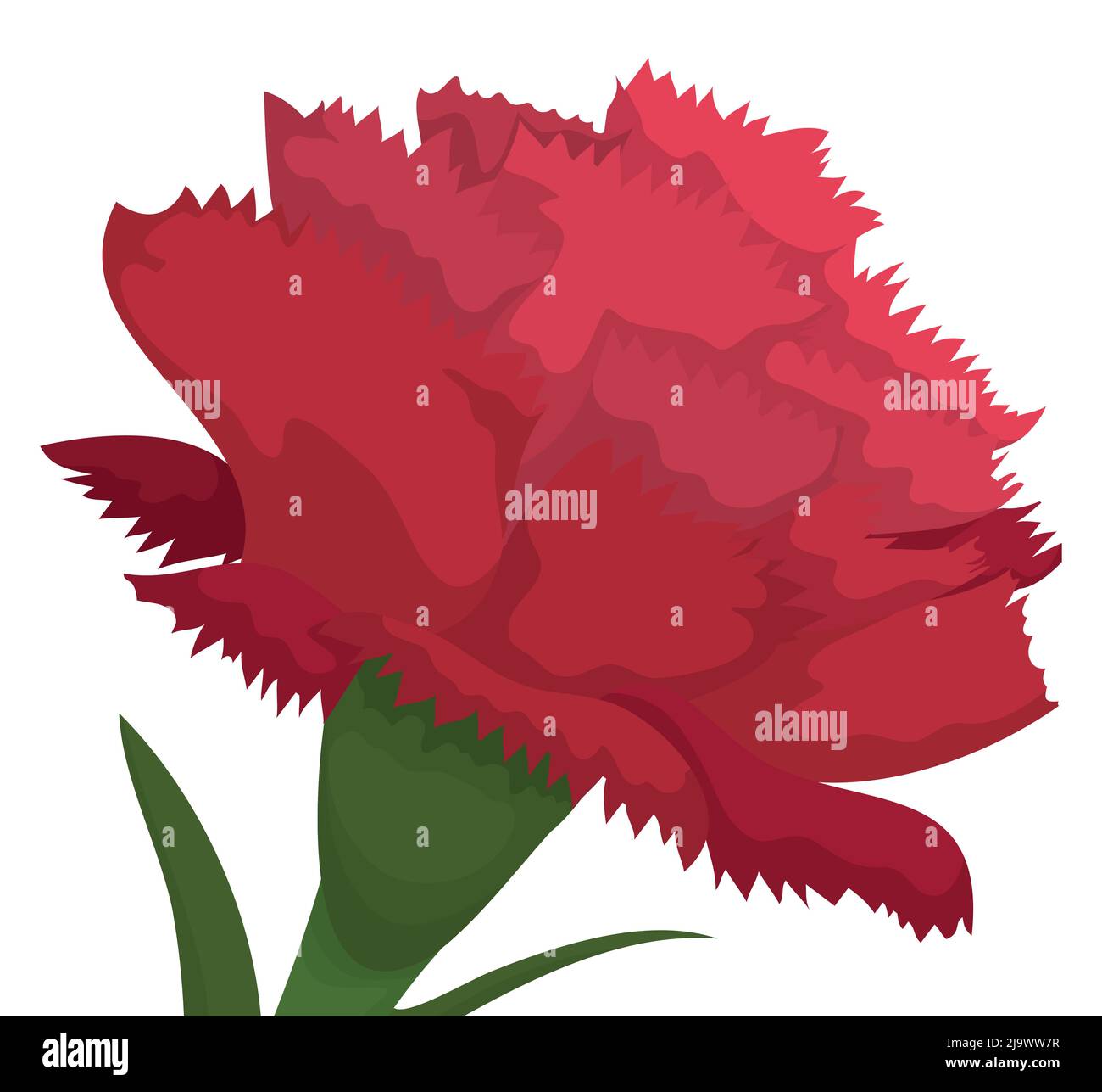 Design in cartoon style with close-up view of beautiful red carnation ...