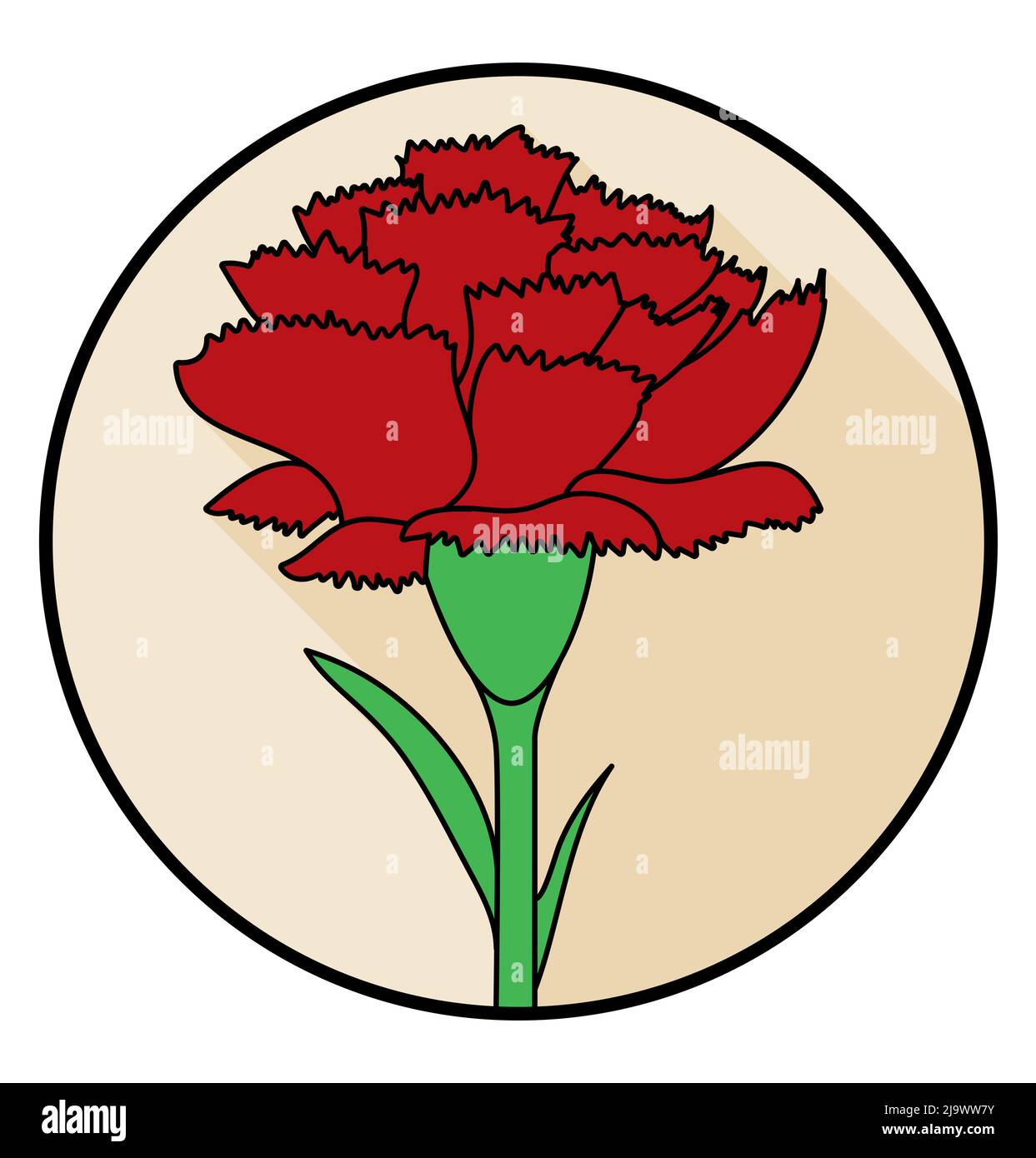 Beautiful carnation in flower Stock Vector Images - Alamy