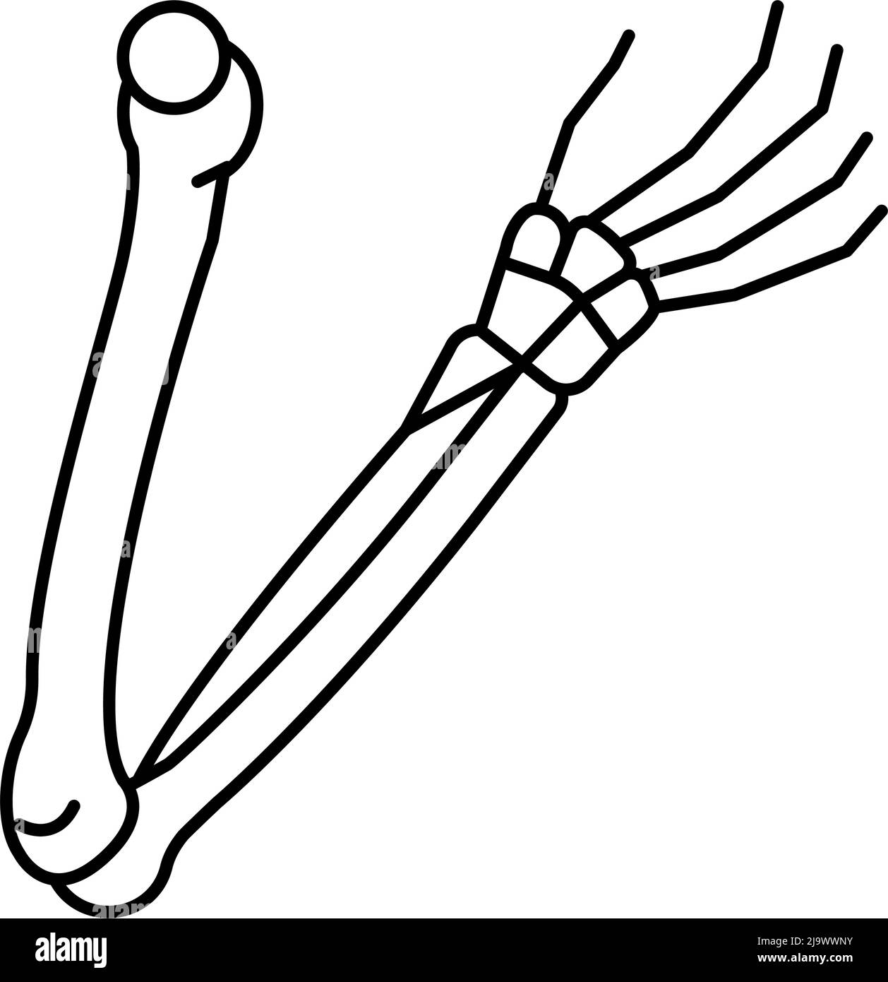 arms bone line icon vector illustration Stock Vector Image & Art - Alamy