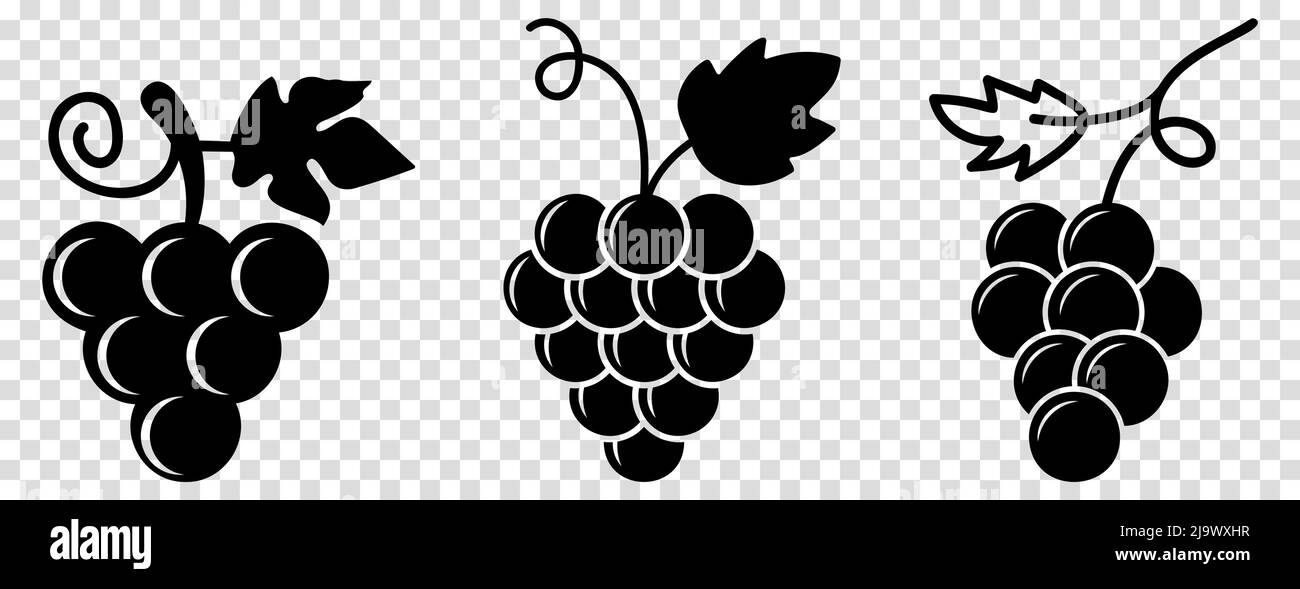 Grapes icons set. Vector illustration isolated on transparent ...