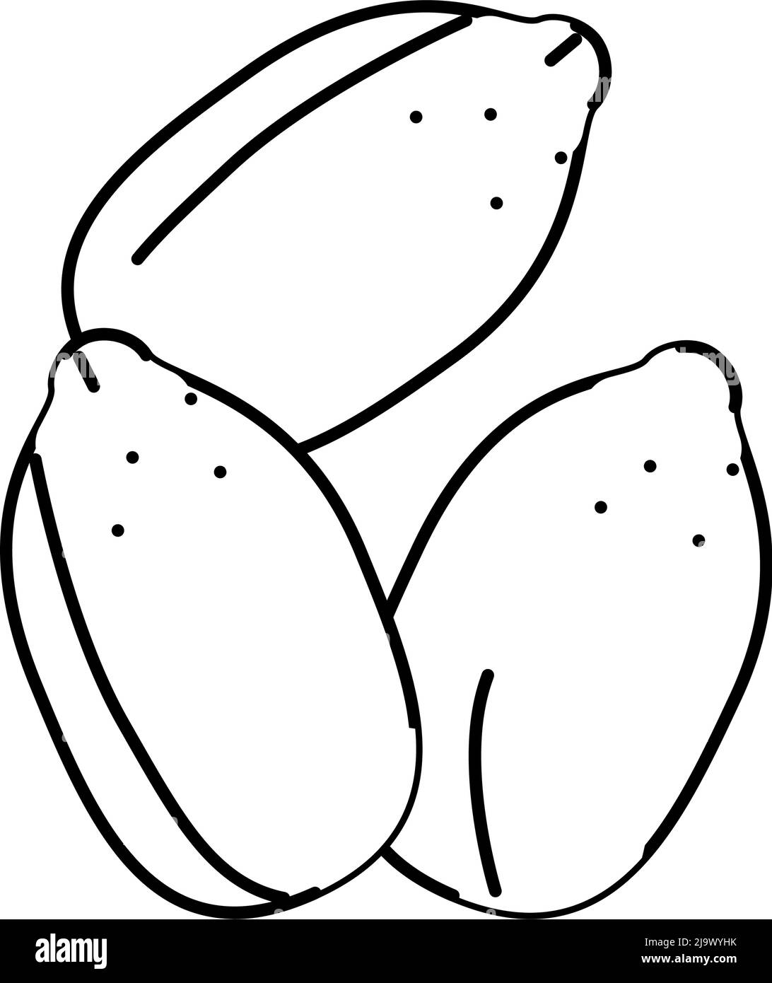 hemp seed line icon vector illustration Stock Vector Image & Art - Alamy