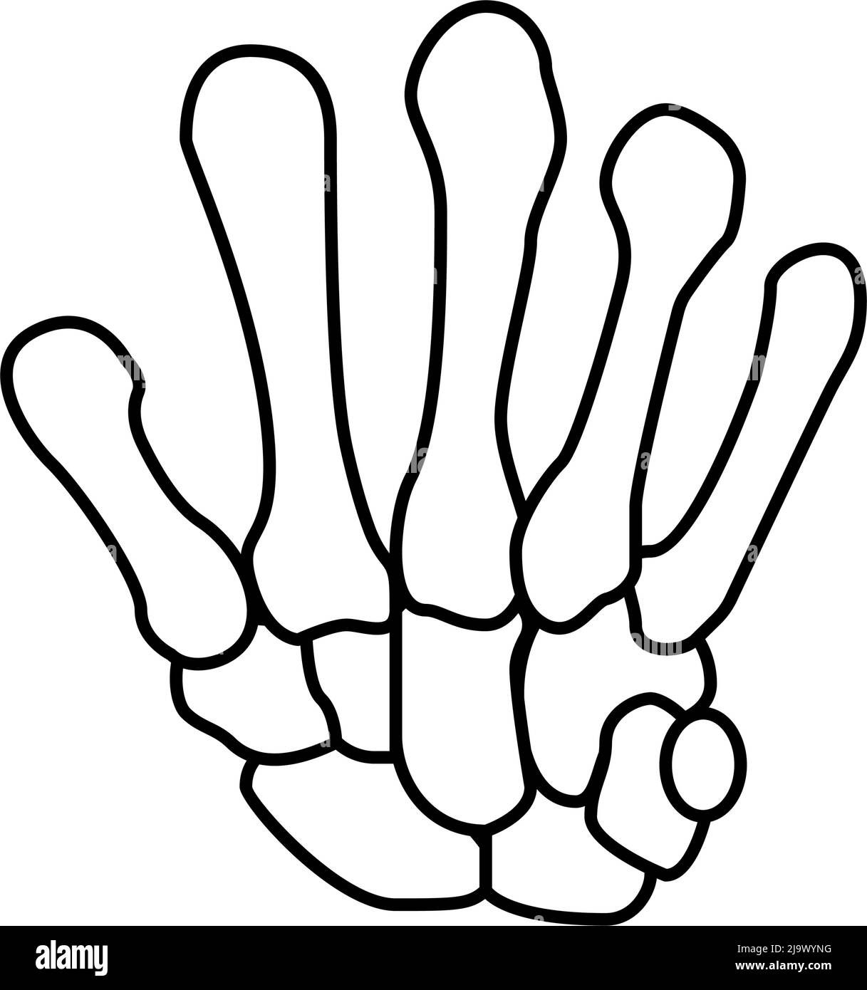 wrist bone line icon vector illustration Stock Vector Image & Art - Alamy