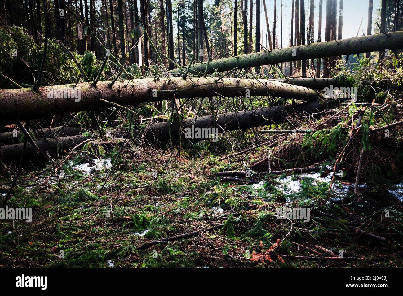 Hurricane calamity hi-res stock photography and images - Alamy