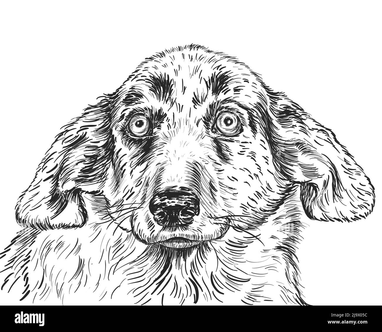 Marble corgi hi-res stock photography and images - Alamy