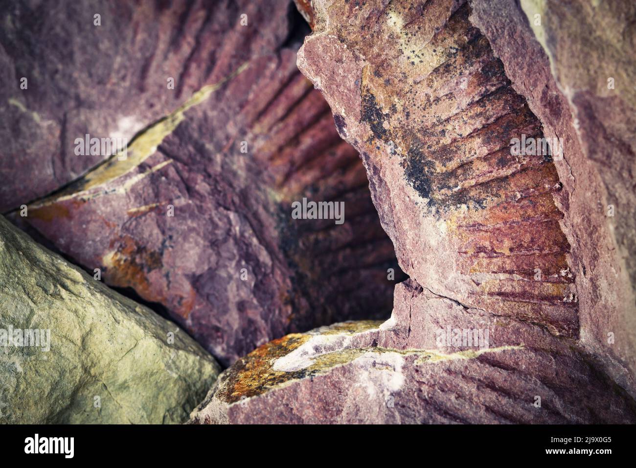 abstract background or texture imprint fossils limestone Stock Photo ...