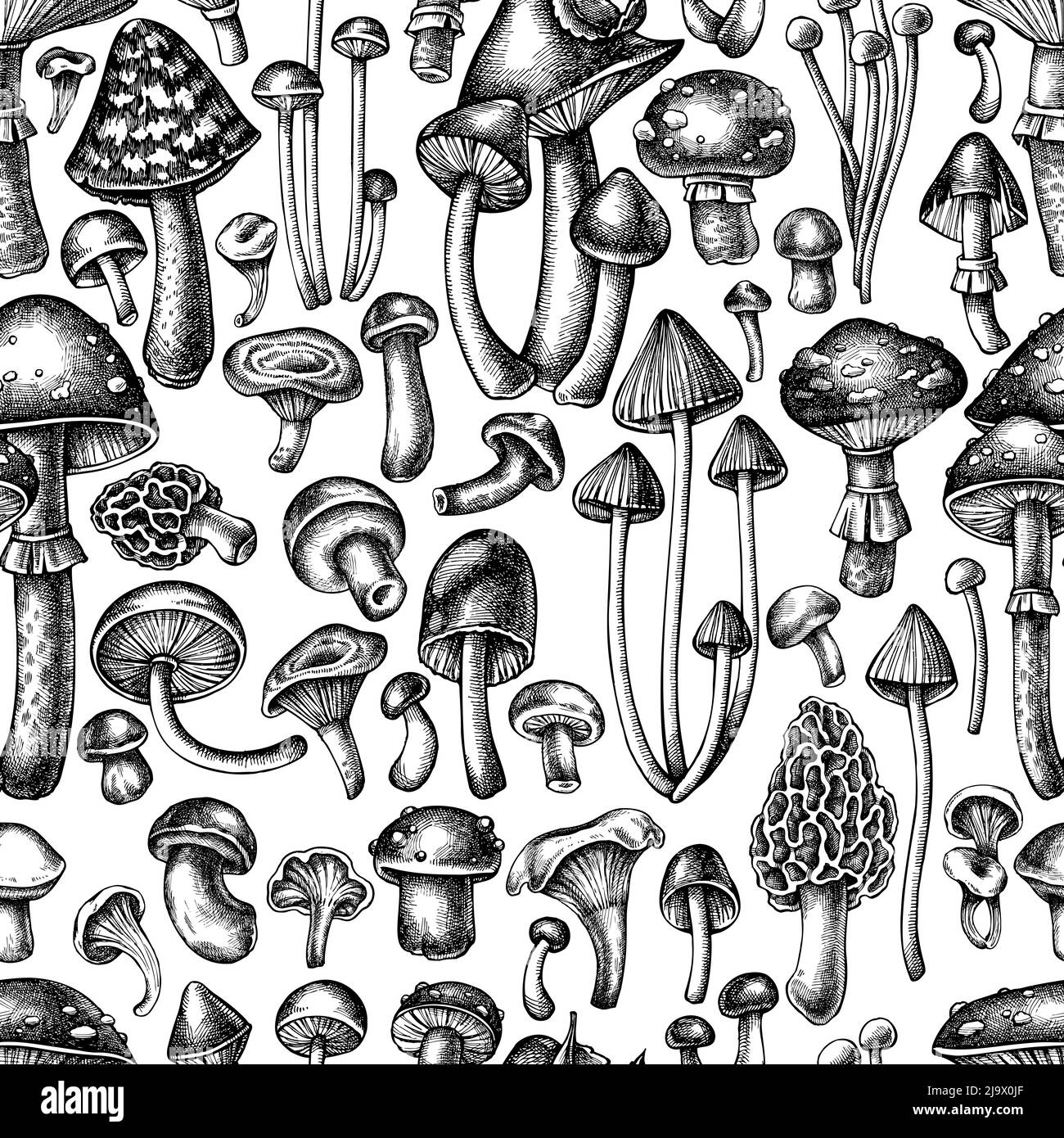 Forest mushrooms seamless pattern background design. Engraved style ...