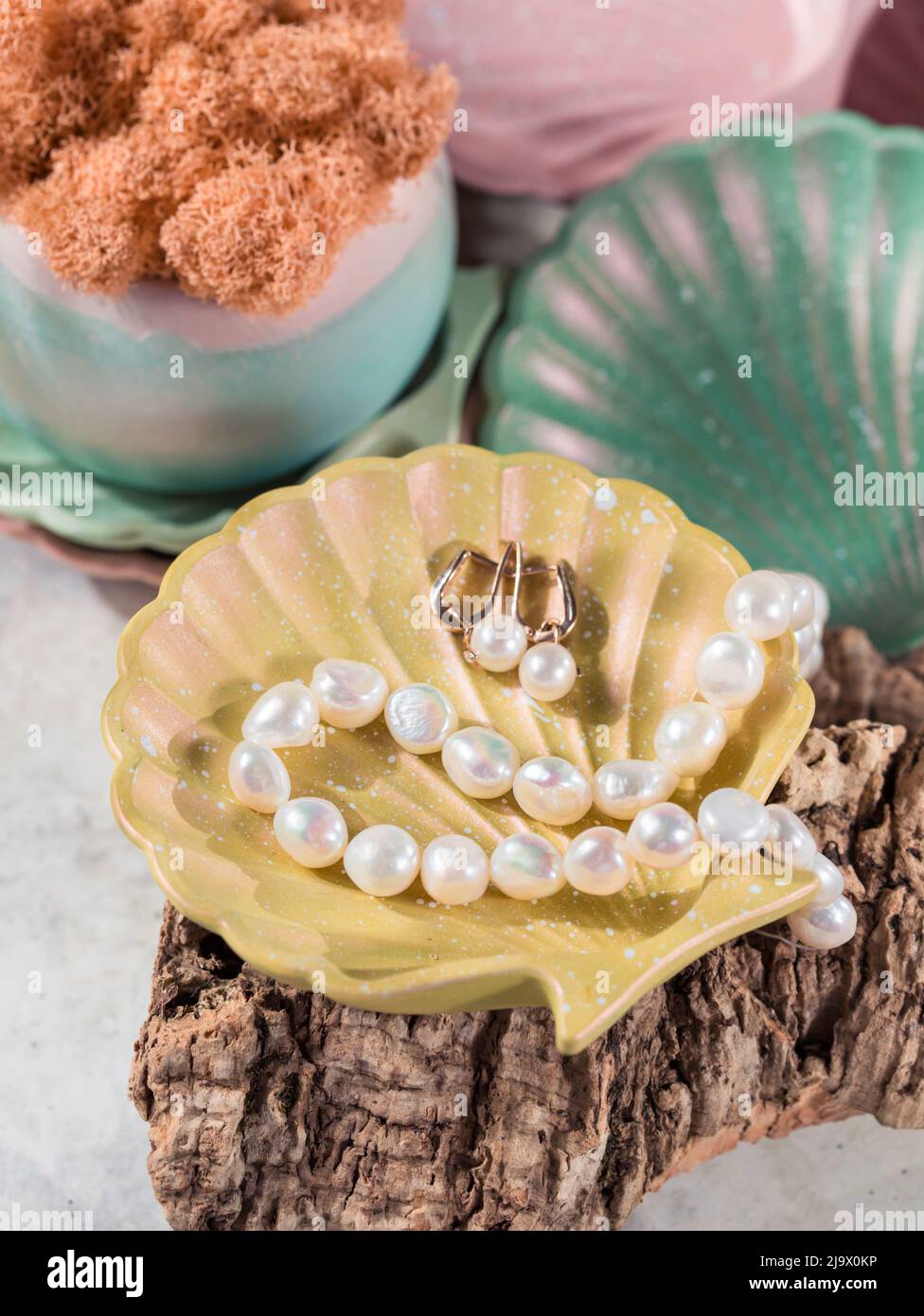 Shell shaped stand made of gypsum, candlestick, handmade. Selective ...