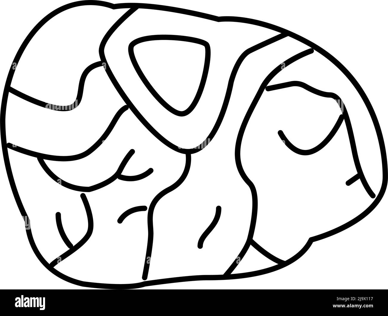 shank beef line icon vector illustration Stock Vector Image & Art - Alamy