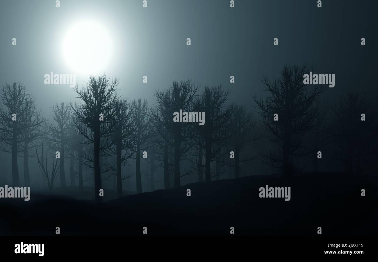 Forest in fog. 3d render Stock Photo - Alamy