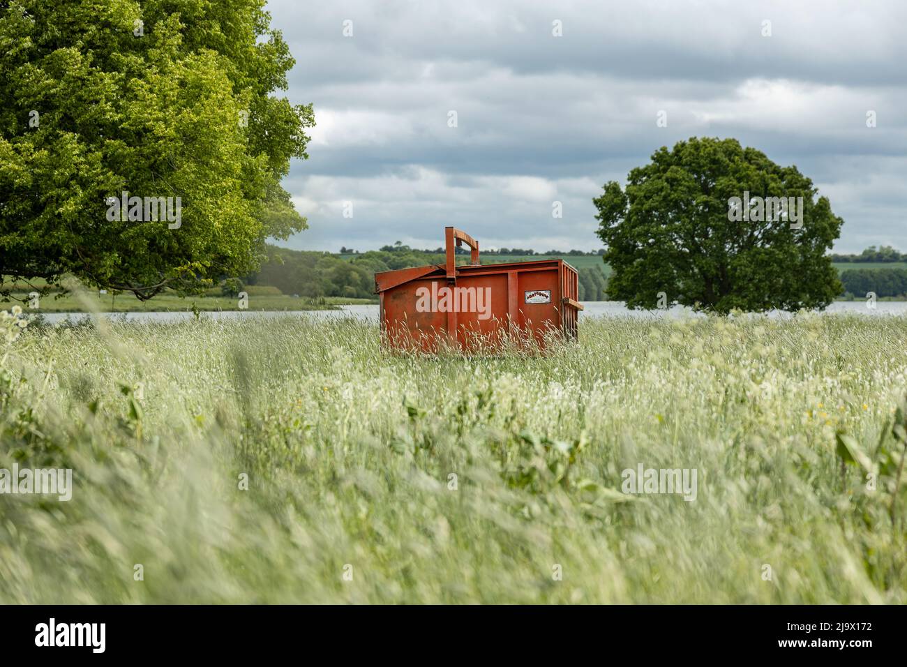 A red skip in the middle of a green meadow Stock Photo - Alamy