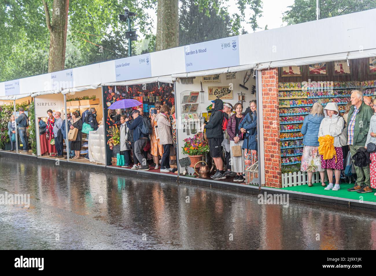 Heavy rain at Chelsea Flower Show Stock Photo - Alamy