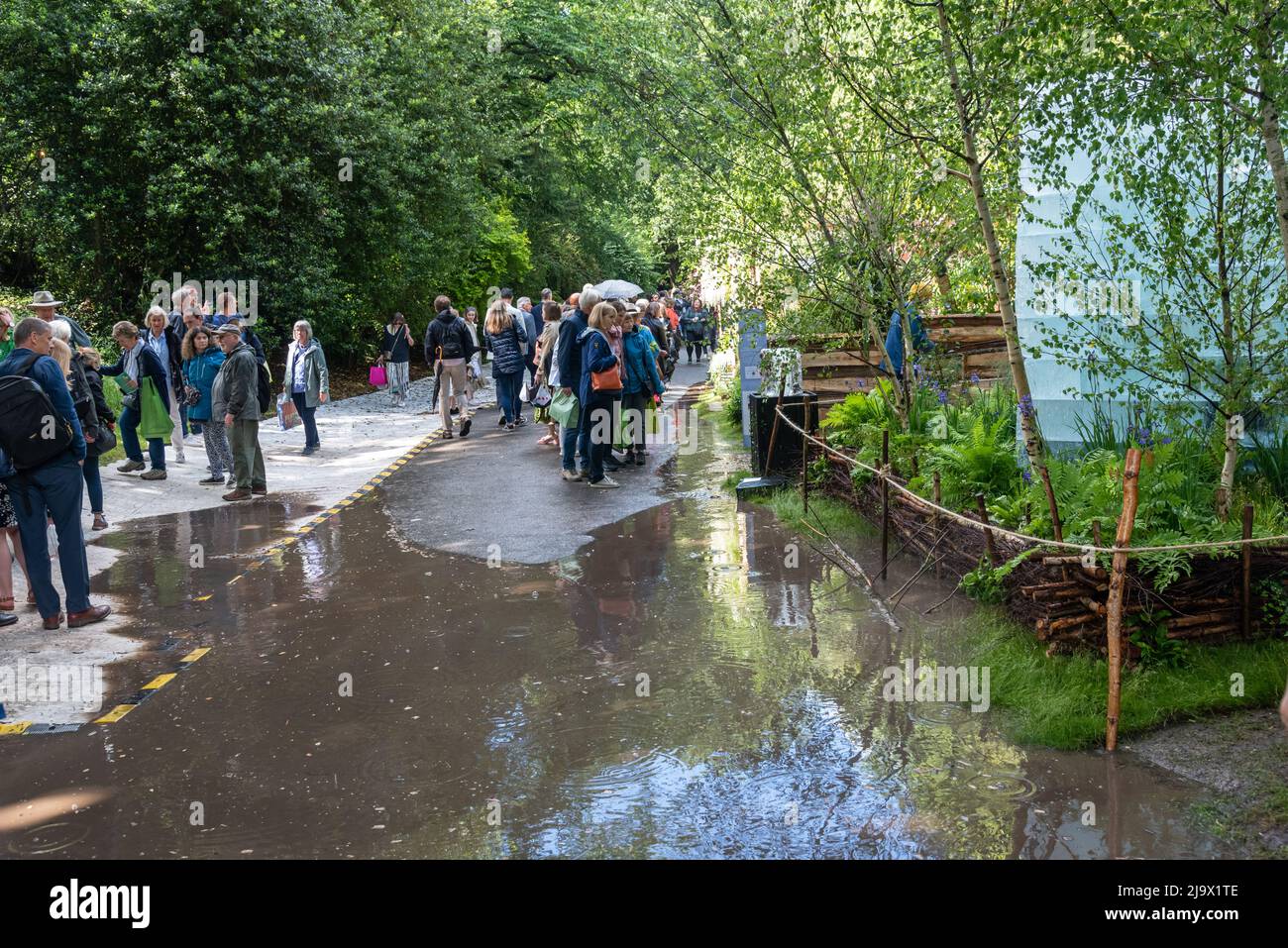 Heavy rain at Chelsea Flower Show Stock Photo - Alamy