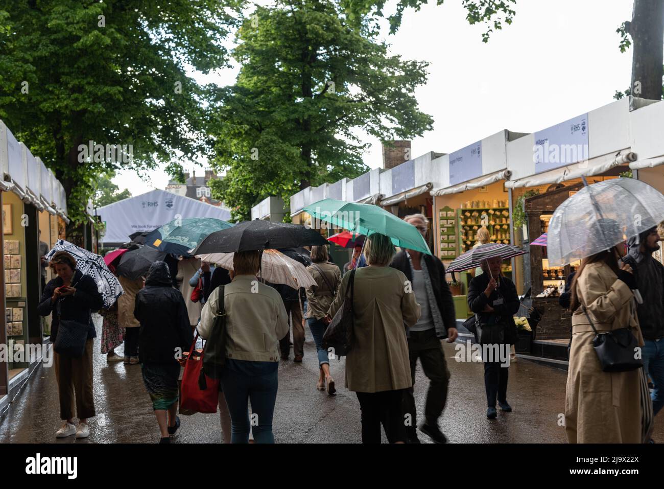 Heavy rain at Chelsea Flower Show Stock Photo - Alamy