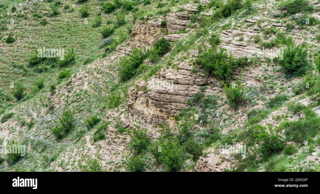 landscape of a mountain slope with weathered rocks and screes covered ...