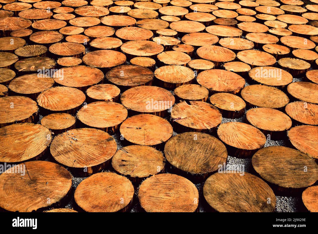 abstract background or texture pavement of wooden logs Stock Photo - Alamy