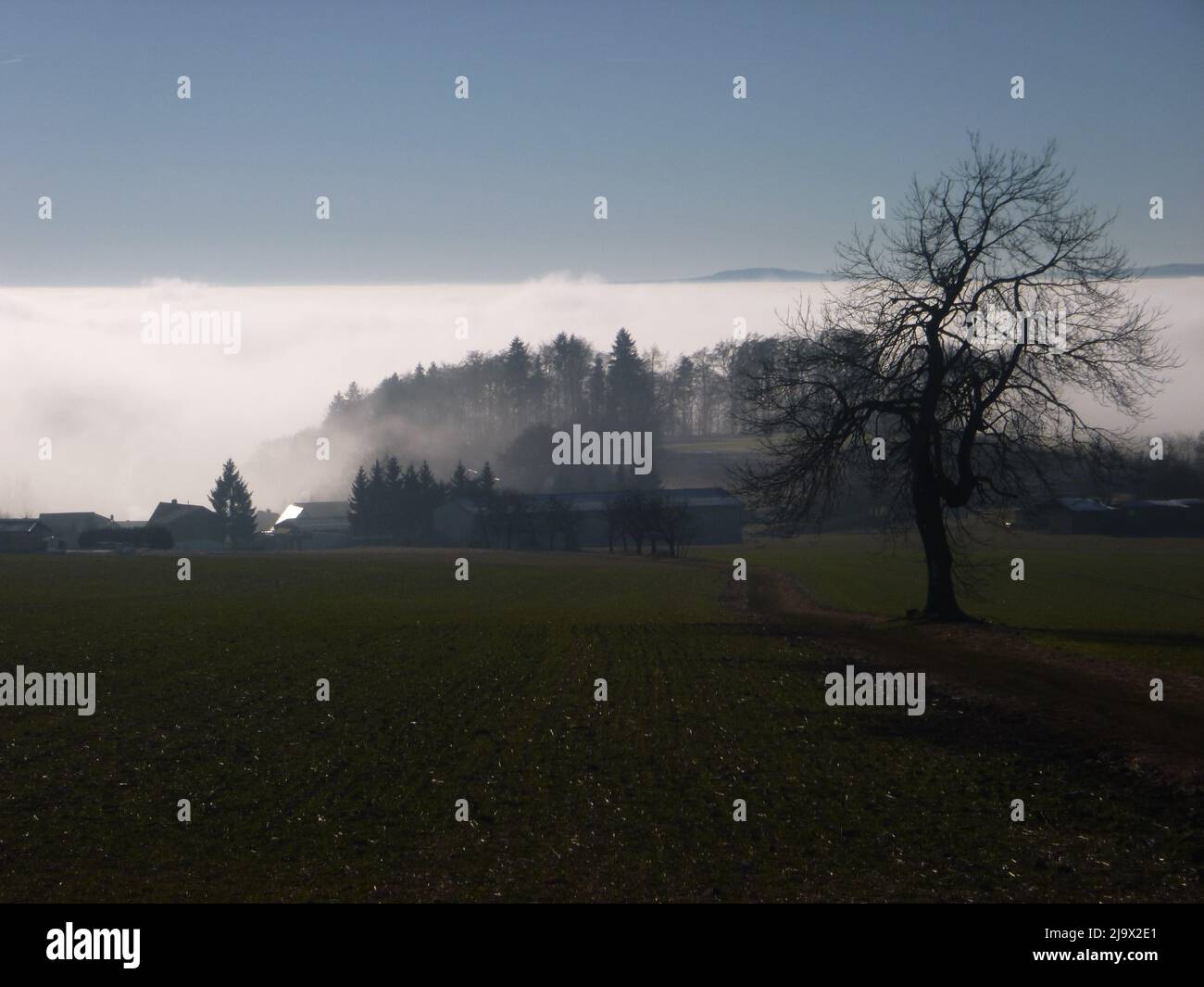 Landscape in the german middle mountains, Rhön Stock Photo - Alamy