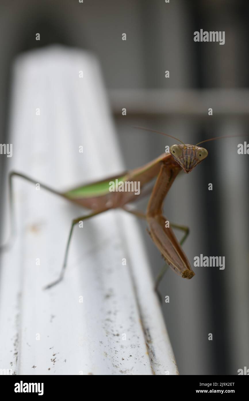 Show me something I have seen a hundred times like I have never seen it ...