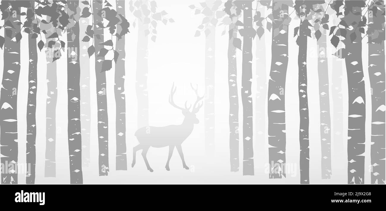 Birch forest with deer. Silhouette of trees and animal. Horizontal ...