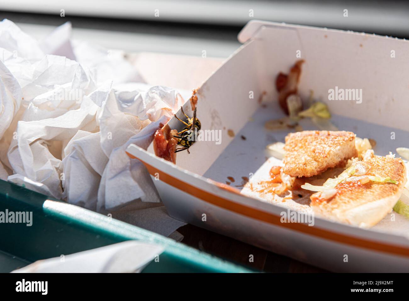 A bee eating ketchup from a hamburger meal Stock Photo - Alamy