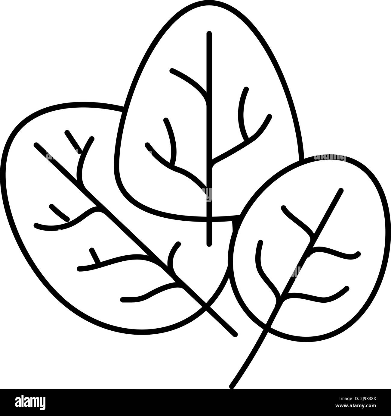 Spinach Line Drawing