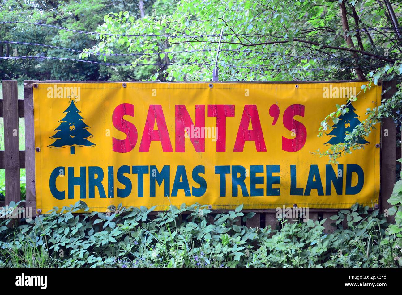 A left over banner announces 'Santa's Christmas Tree Land' on a fence ...
