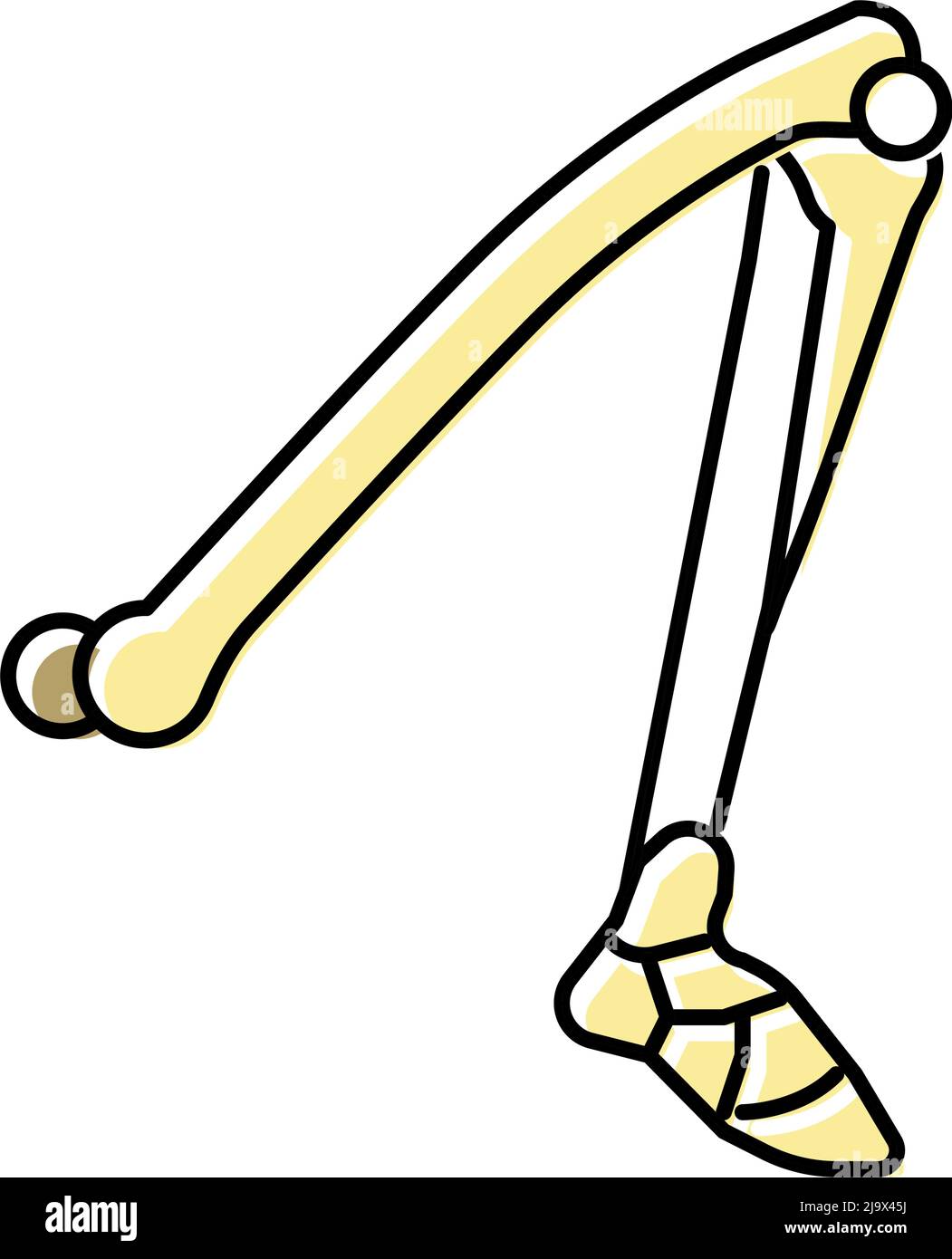 leg bone color icon vector illustration Stock Vector Image & Art - Alamy