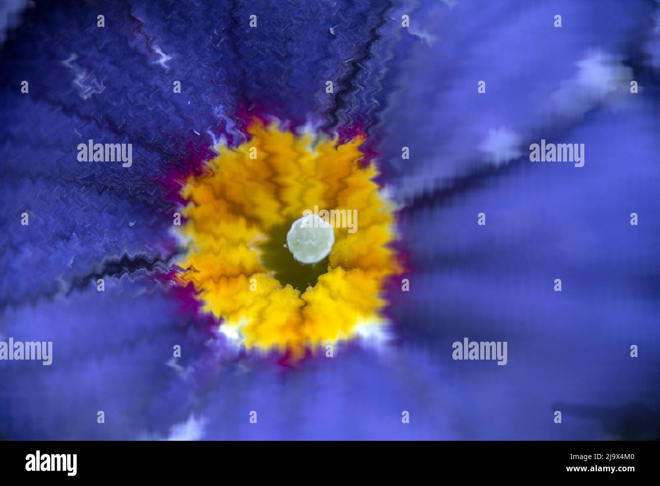 Colorful psychedelic lights and shadows in a dazzling stream of diverse ...