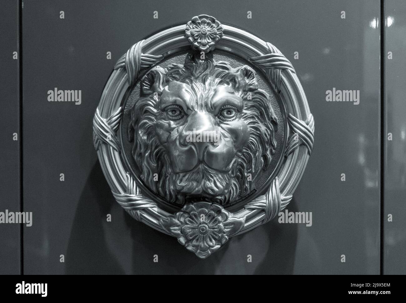 Metal lion head on the door Stock Photo - Alamy