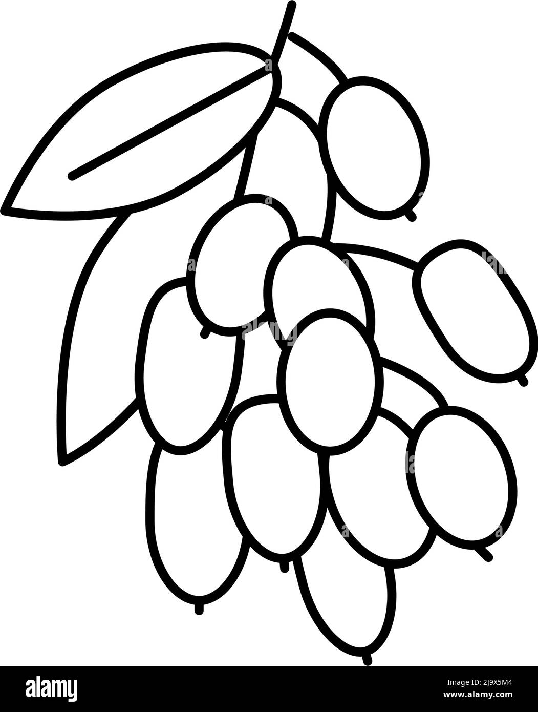 goji berry and leaves line icon vector illustration Stock Vector Image ...