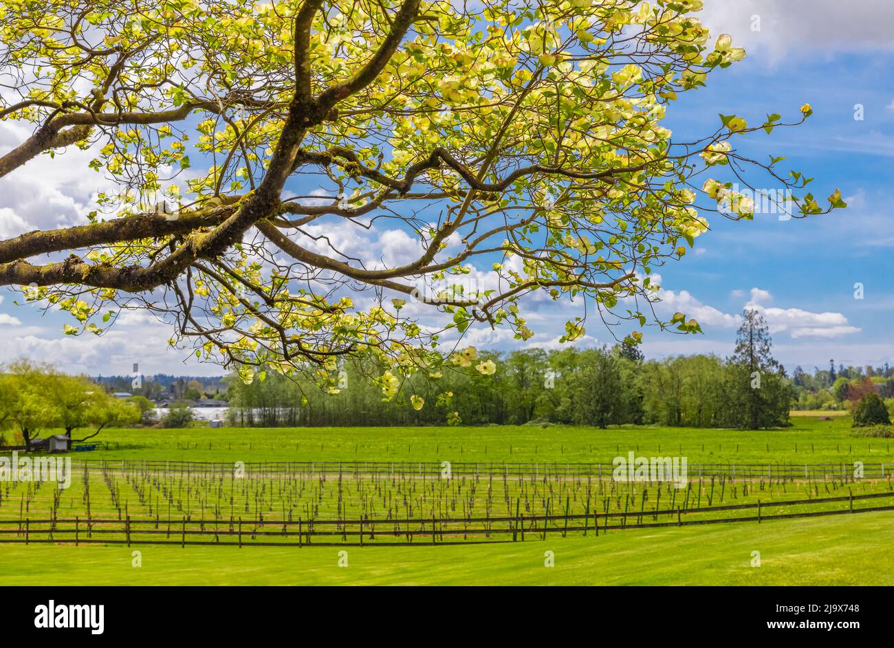 Countryside landscape and cultivated fields. Scenery of a farming ...