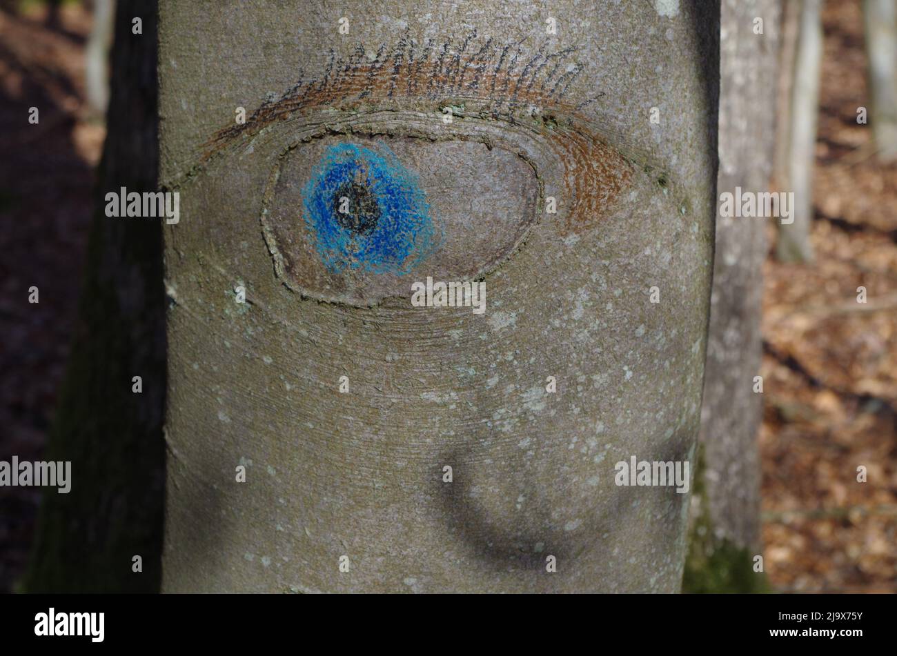 Bark painting hi-res stock photography and images - Alamy