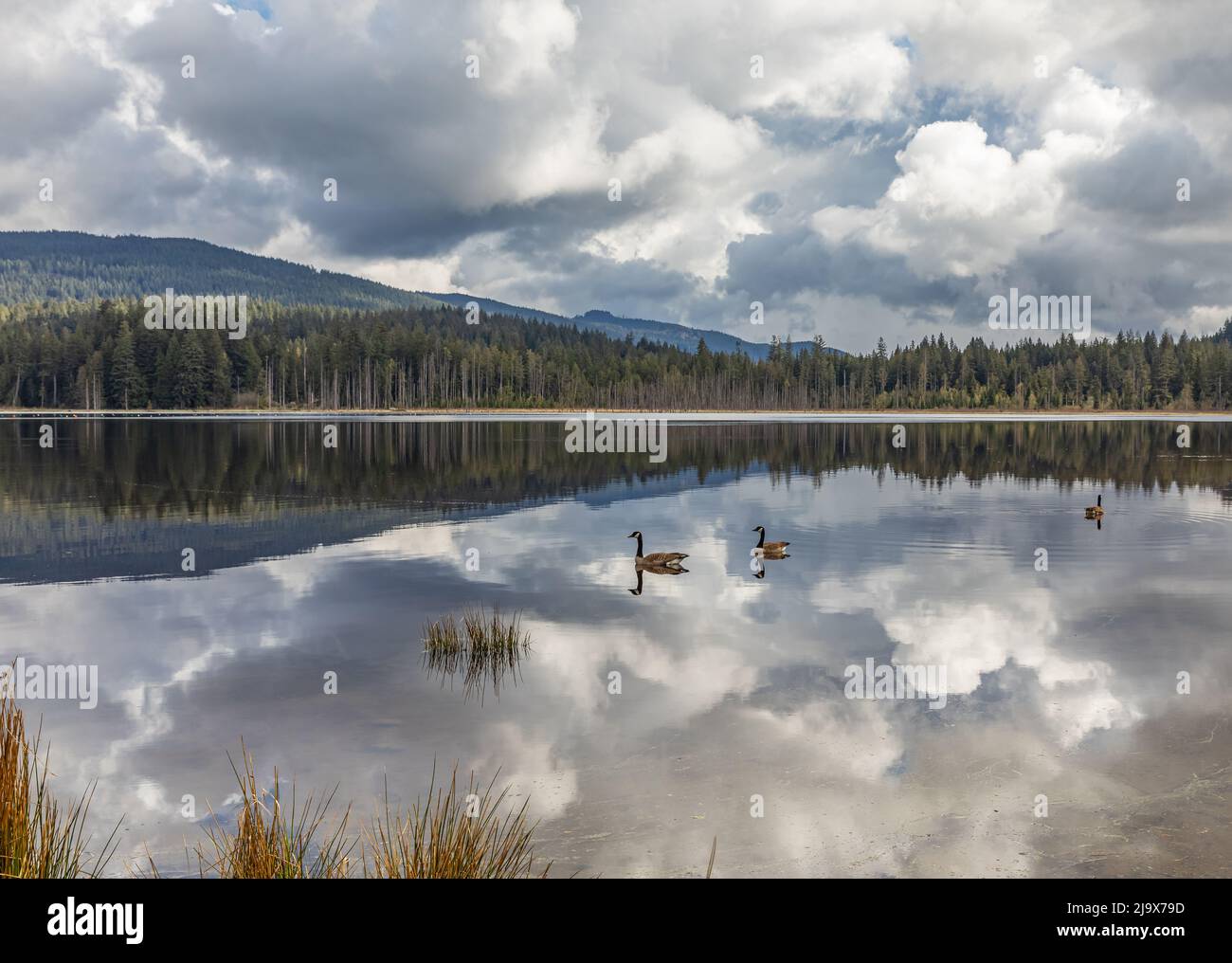 Whonnock lake provincial park hi-res stock photography and images - Alamy
