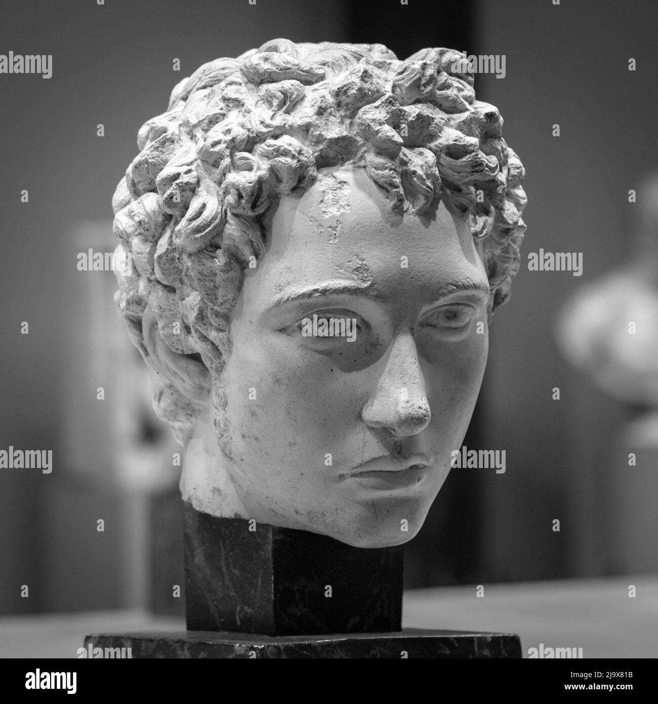 The ancient marble portrait bust Stock Photo - Alamy