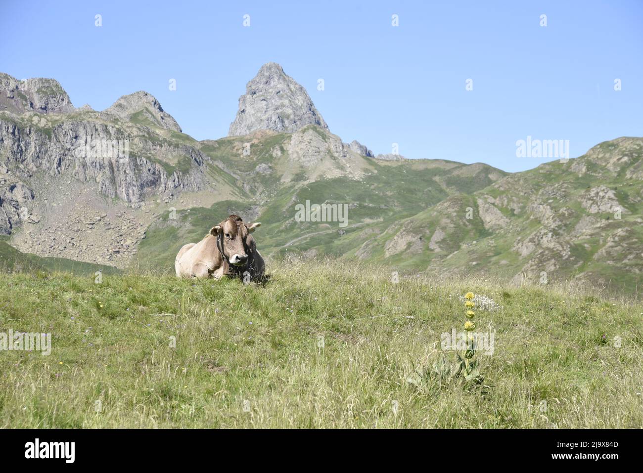 The alps pyrenees border hi-res stock photography and images - Alamy