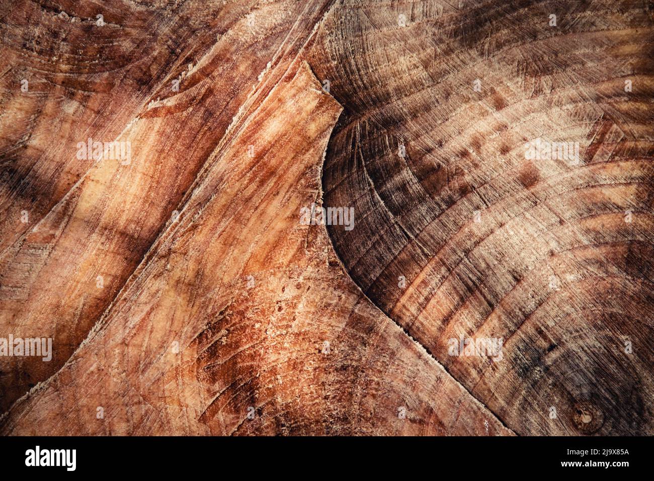 abstract background or texture scratches on sawing a tree trunk Stock ...