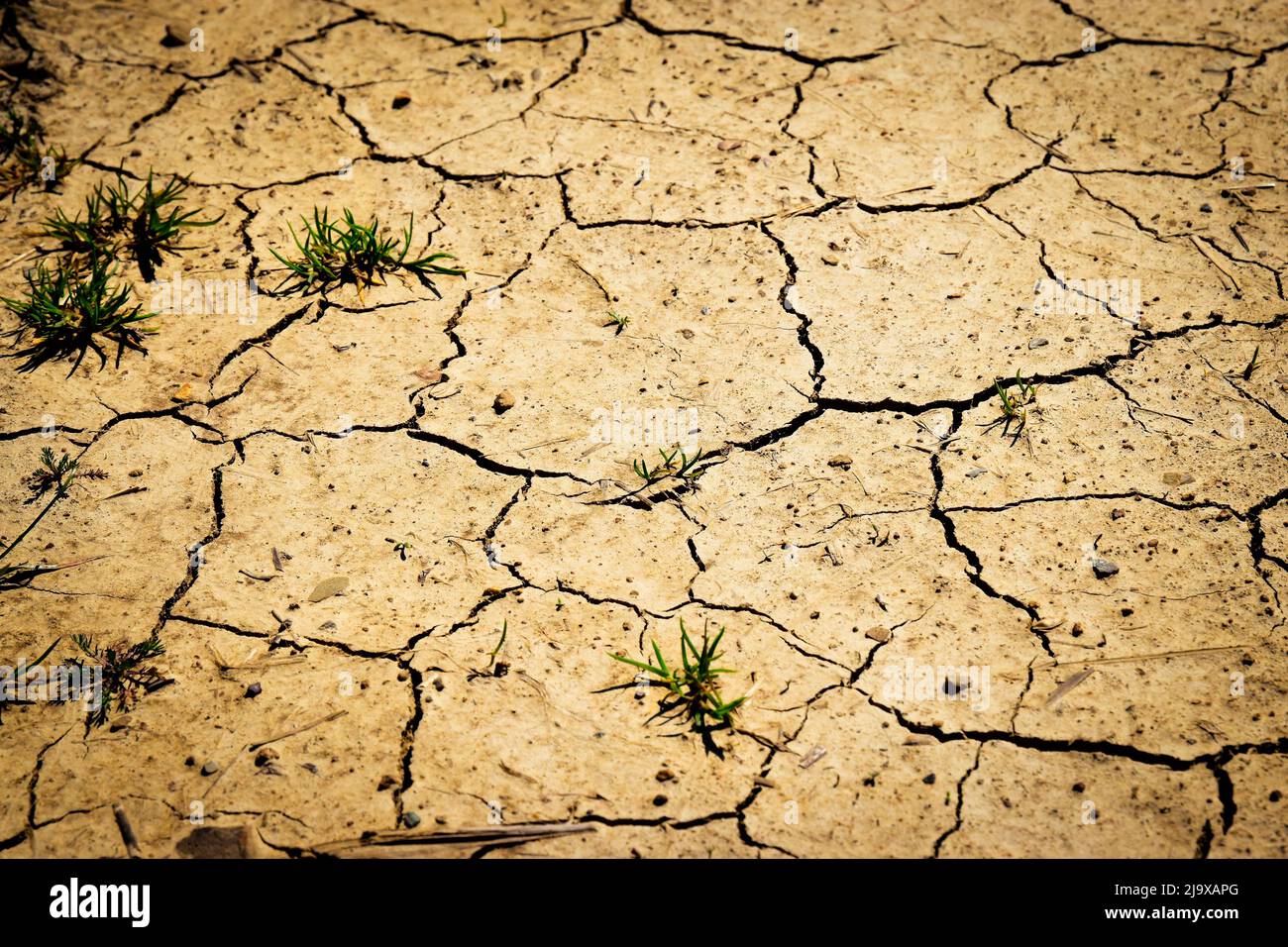 background or texture Cracked dry sandy soil Stock Photo - Alamy