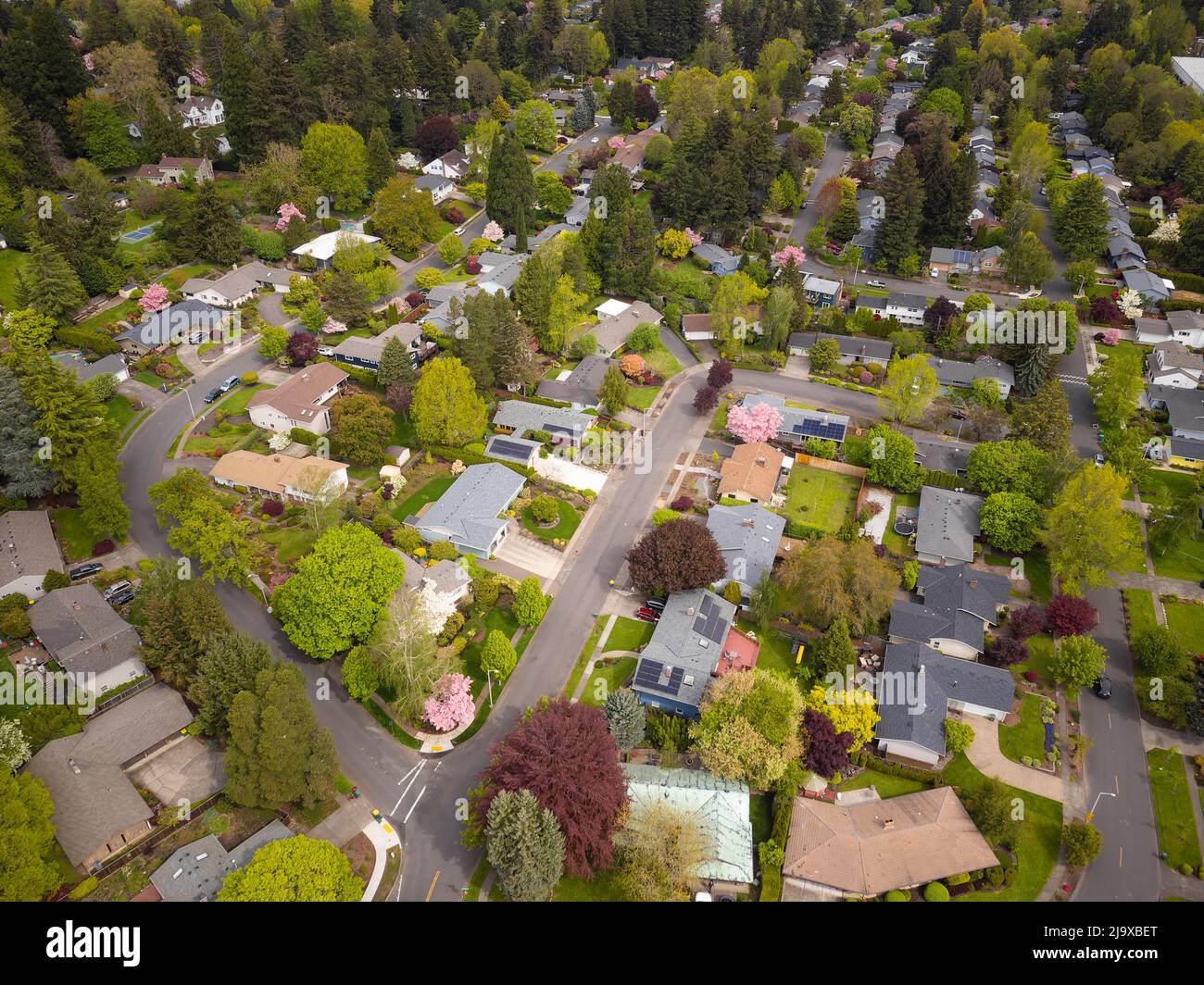 Shot from the air. Small green city, suburb. Roofs of cozy houses, many ...