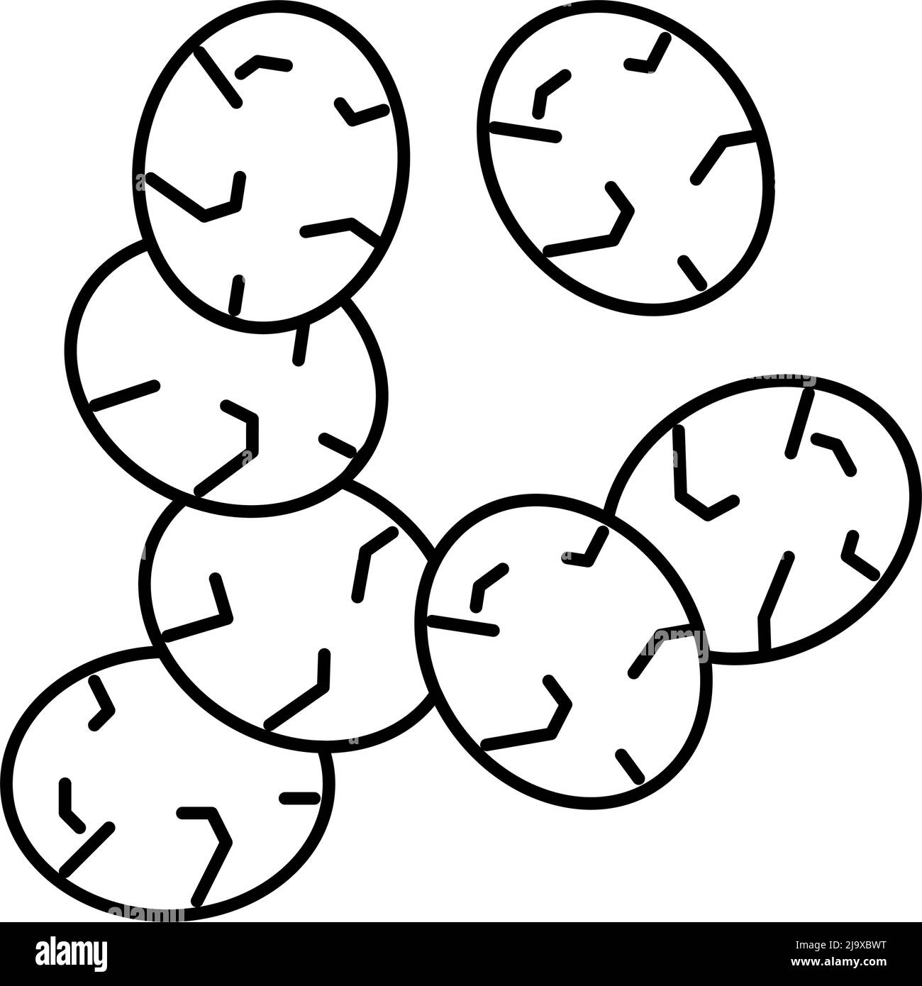 chia seed line icon vector illustration Stock Vector Image & Art - Alamy